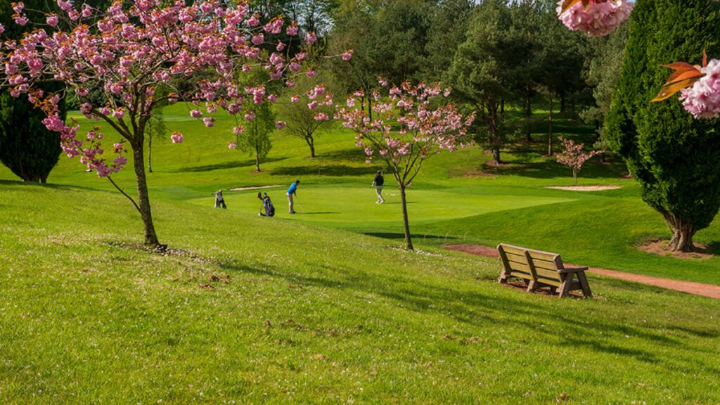 Dunmurry Golf Club - 18Ireland