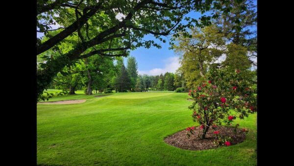 Lisburn Golf Club - 18Ireland